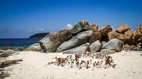 Kota Kinabalu Travel Guide To The Capital Of Sabah Pin Your
