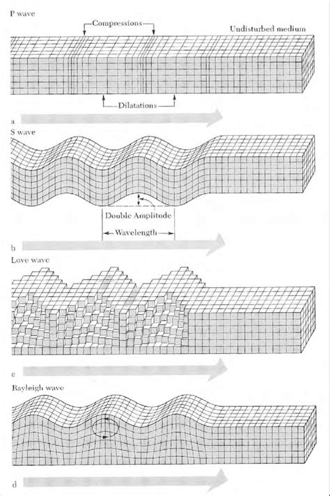 Different Types Of Seismic Waves Used In Engineering Investigations Of Download Scientific
