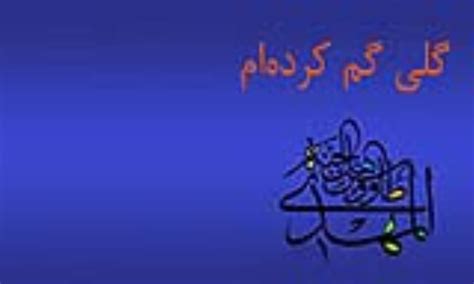 گلی گم کرده‌ام