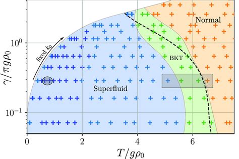 6 quasi equilibrium phase diagram of the 2d quenched disordered