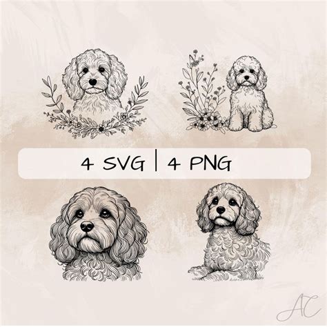 Delicate Cavapoo Svg Bundle Cavapoo Line Art Png Cavapoo And Flowers