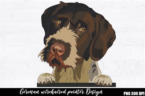 German Wirehaired Pointer Sublimation Graphic By Withoutdreamsplease · Creative Fabrica