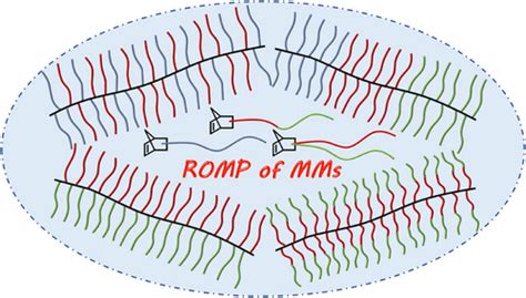 Ring‐opening Metathesis Polymerization For Synthesizing Molecular Bottlebrushes Via The Grafting
