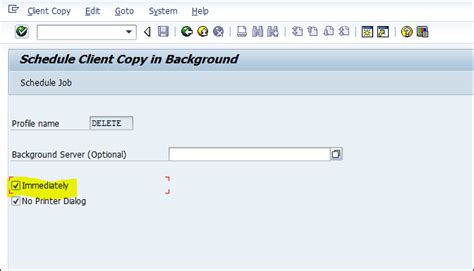 How To Delete Client In Sap System Sap Basis Genie