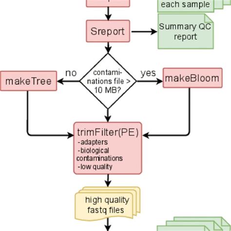 Workflow For Preprocessing Fastq Files With Fastqpuri Qreport Download Scientific Diagram