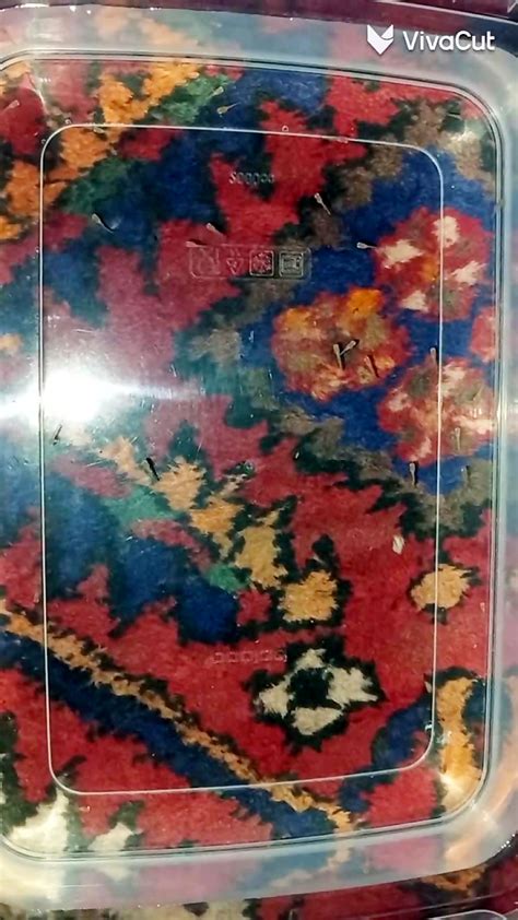 وقتی یهویی بدنیا میان بچه ماهی هاگوپی