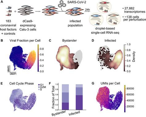Perturb Seq For Single Cell Transcriptional Analysis And Functional Download Scientific Diagram
