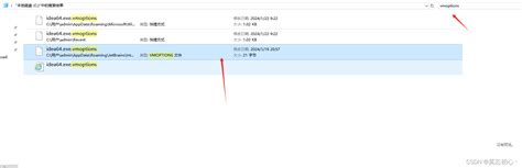 idea修改vm options报错improperly specified vm option