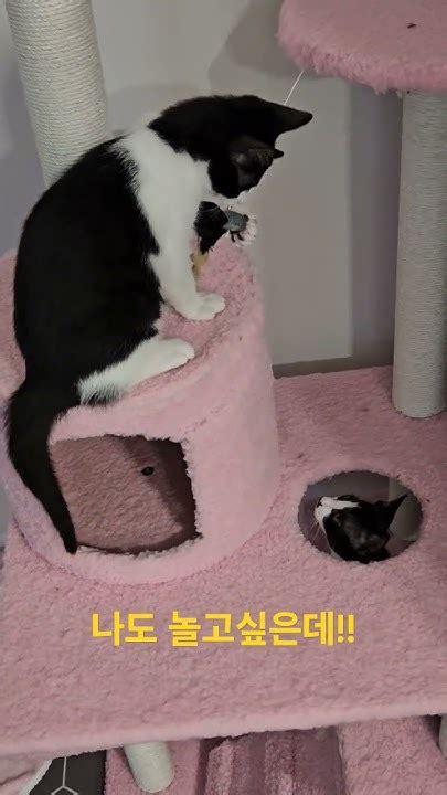 같이 놀고싶은 여름이 Youtube