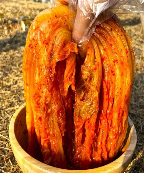 100 국산 전라도 묵은지 김치 신김치 묵은김치 에이블리