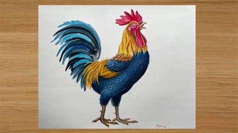 How To Draw A Cock Rooster Poster Colour Painting YouTube