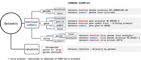 download assembled genome data programmatically with ncbi datasets