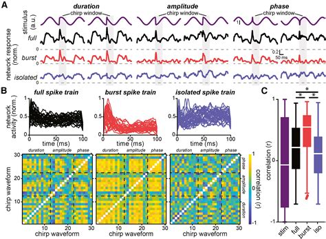 Burst Firing Optimizes Invariant Coding Of Natural Communication Signals By Electrosensory