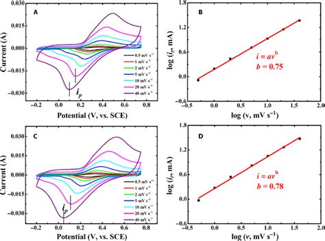 Cv Curves At Different Sweep Rates V And Corresponding Log I P Versus Download Scientific