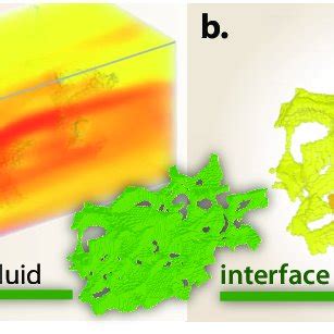 The Basic Structure Of The Fluid Structure Interaction A Simulated Download Scientific