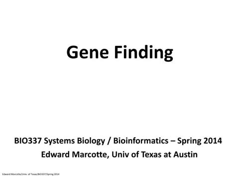 Ppt Gene Finding Powerpoint Presentation Free Download Id3179708