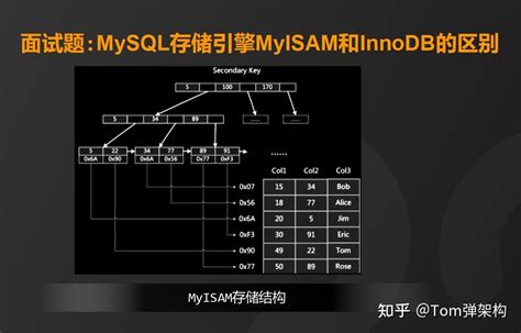 MySQL存储引擎 孤星