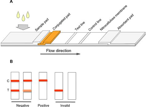 figure 1 from lateral flow test strip based on colloidal selenium