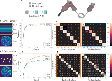 backpropagation free training of deep physical neural networks
