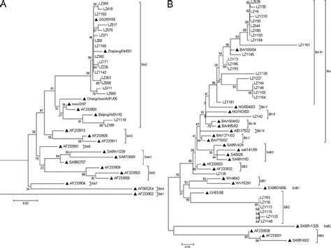 Phylogenetic Tree For Chinese Hrsv Group A And Group B Nucleotide Download Scientific Diagram