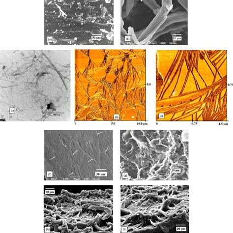 Pdf Green Nanocomposites Based On Thermoplastic Starch And Steam Exploded Cellulose