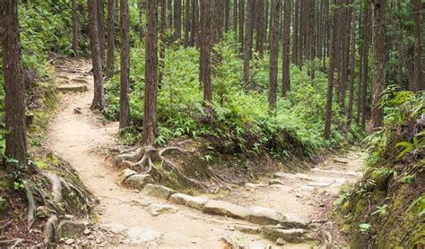 Digital Optimization Vs Digital Transformation