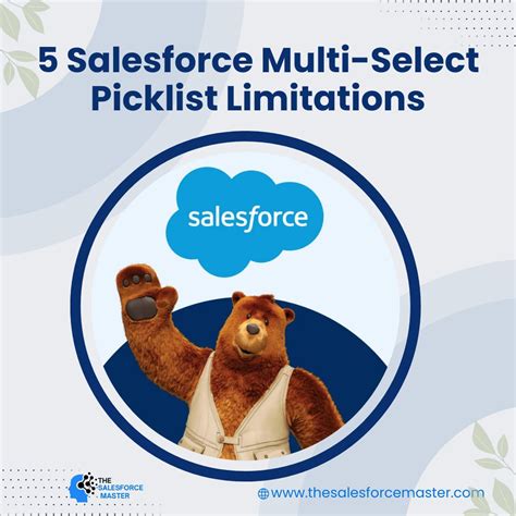 The Salesforce Master On Linkedin Thesalesforcemaster Salesforce