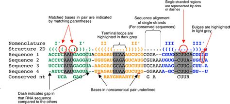 Figure 1 From The Rna Structure Alignment Ontology Semantic Scholar