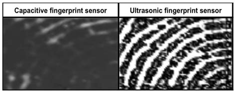 Fingerprint Systems Sensors Image Acquisition Interoperability And Challenges
