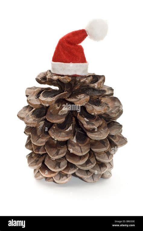 White Pine Cone And Tassel