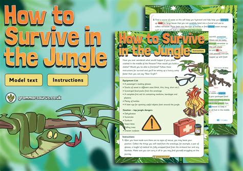 Year 4 Model Text Instructions How To Survive In The Jungle Grammarsaurus
