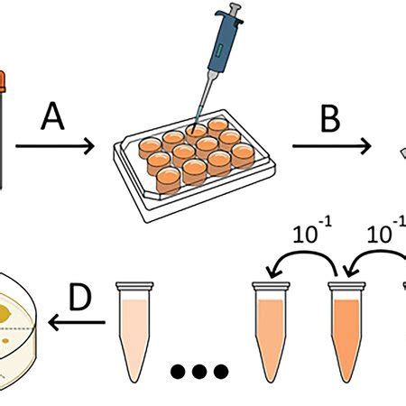 Data For The Log Reduction In Viable Bacterial Cells Extracted From The Download Scientific