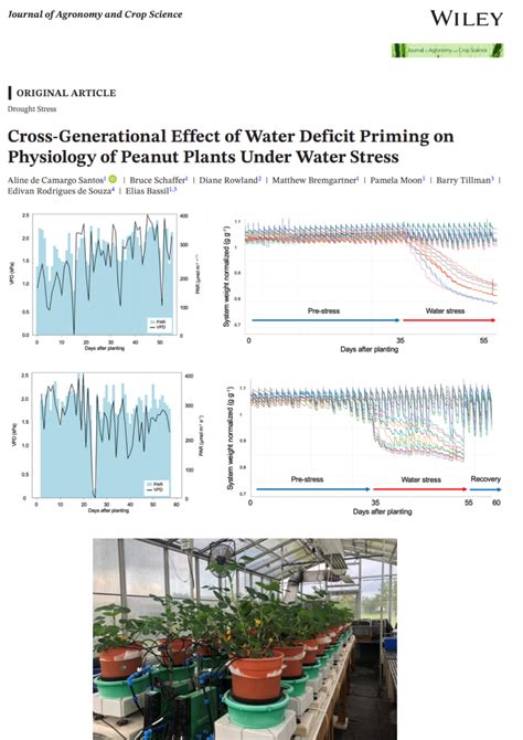 Plant Phenotyping Automated Phenotype Platform Plant Ditech