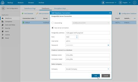 adding database connections veeam backup for salesforce user guide