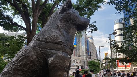 西武澀谷店 遇見藝術 西武澀谷店附近有個著名的景點，就是大家都熟知的十字路口。
