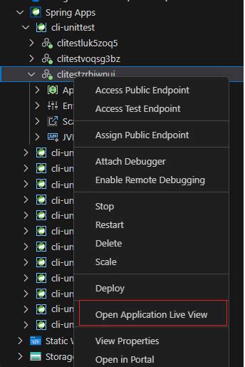 Use Application Live View With The Azure Spring Apps Enterprise Plan Microsoft Learn