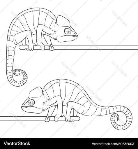 Set Of With A Chameleon Royalty Free Vector Image