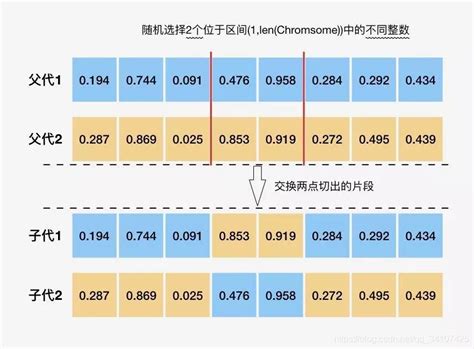 【python Deap库】遗传算法遗传编程 进化算法基于python Deap库深度解析讲解 忽逢桃林 博客园