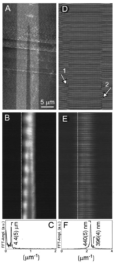Field Profiles Of The Different Modes Excited In The Waveguide Splitter Download Scientific