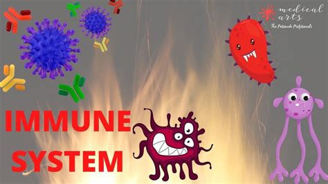 Immune System Animation Specific And Non Specific Immune Response