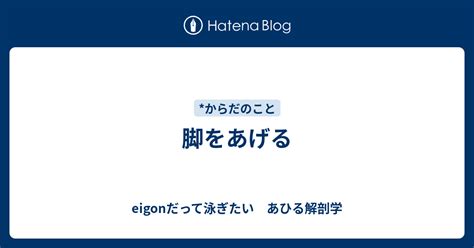脚をあげる Eigonだって泳ぎたい あひる解剖学