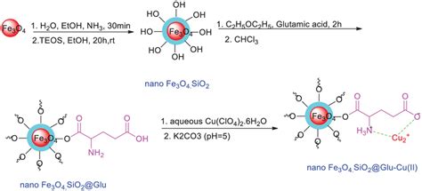 Synthesis Of Nano Fe3o4‐sio2 Glu‐cu Ii Download Scientific Diagram