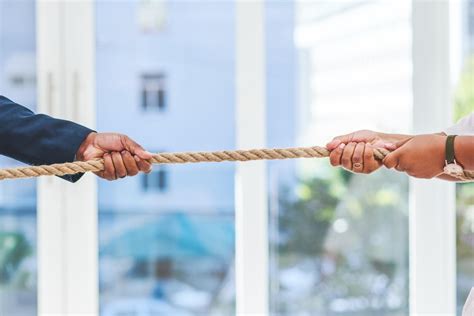 Insead Knowledge On Linkedin How Biotech Firms Can Improve Cross