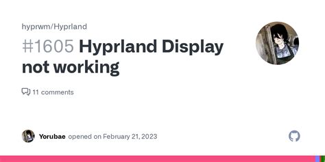 Hyprland Display Not Working Issue Hyprwm Hyprland GitHub