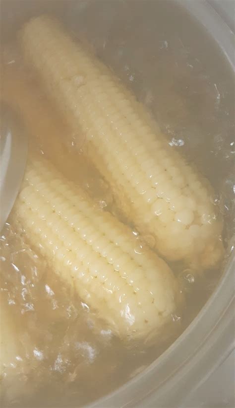 길거리 옥수수 삶는 법 백종원 옥수수 삶는 법 In 뉴슈가 냄비에 옥수수 삶기