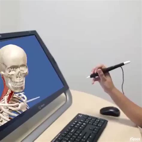 Cheniour Zeineb Posted On Linkedin