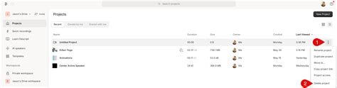deleting a project descript help