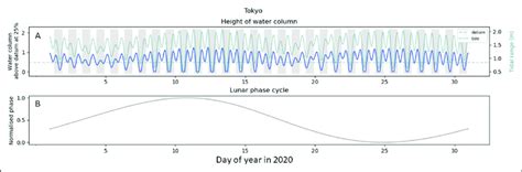 modelled tidal cycle for tokyo in january 2020 a tidal cycle