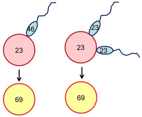 Chromosomal Microarray In The Prenatal Setting Flashcards Quizlet