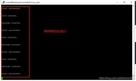 linux服务器创建oracle实例，命令行安装详解 linux下命令模式给oracle数据库新增一个实例 csdn博客